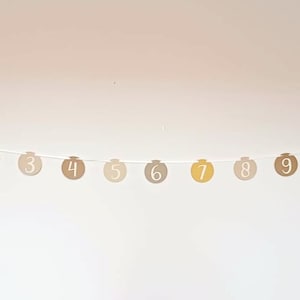 Neutral Sun Photo Display, Earthy Tones Sun Milestone Banner, Our ...