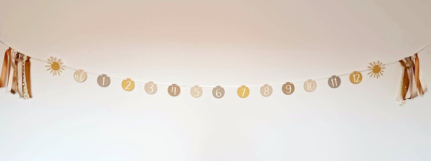 Neutral Sun Photo Display, Earthy Tones Sun Milestone Banner, Our ...