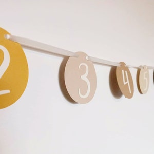 Neutral Sun Photo Display, Earthy Tones Sun Milestone Banner, Our ...