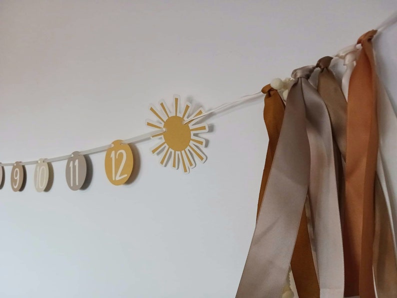 Neutral Sun Photo Display, Earthy Tones Sun Milestone Banner, Our ...