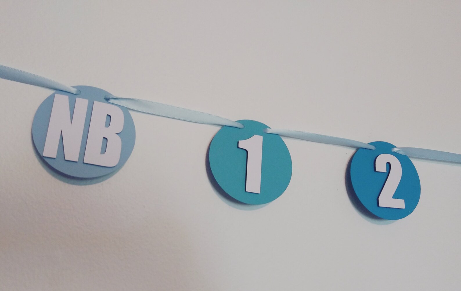 Monthly Photo Banner, Milestone Banner, Photo Banner, 12 Months, First ...