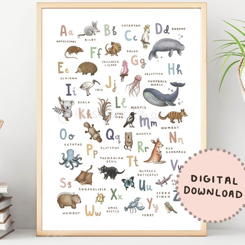 Australian Animals Alphabet Print Illustrated ABC Poster - Etsy Australia