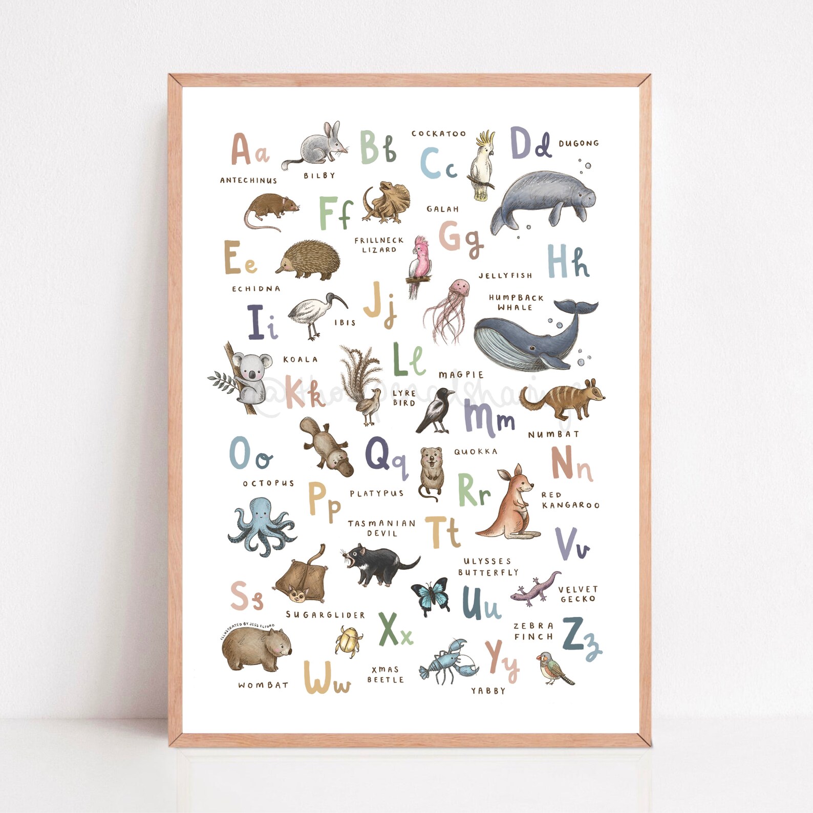 Australian Animals Alphabet Print Illustrated ABC Poster - Etsy Australia