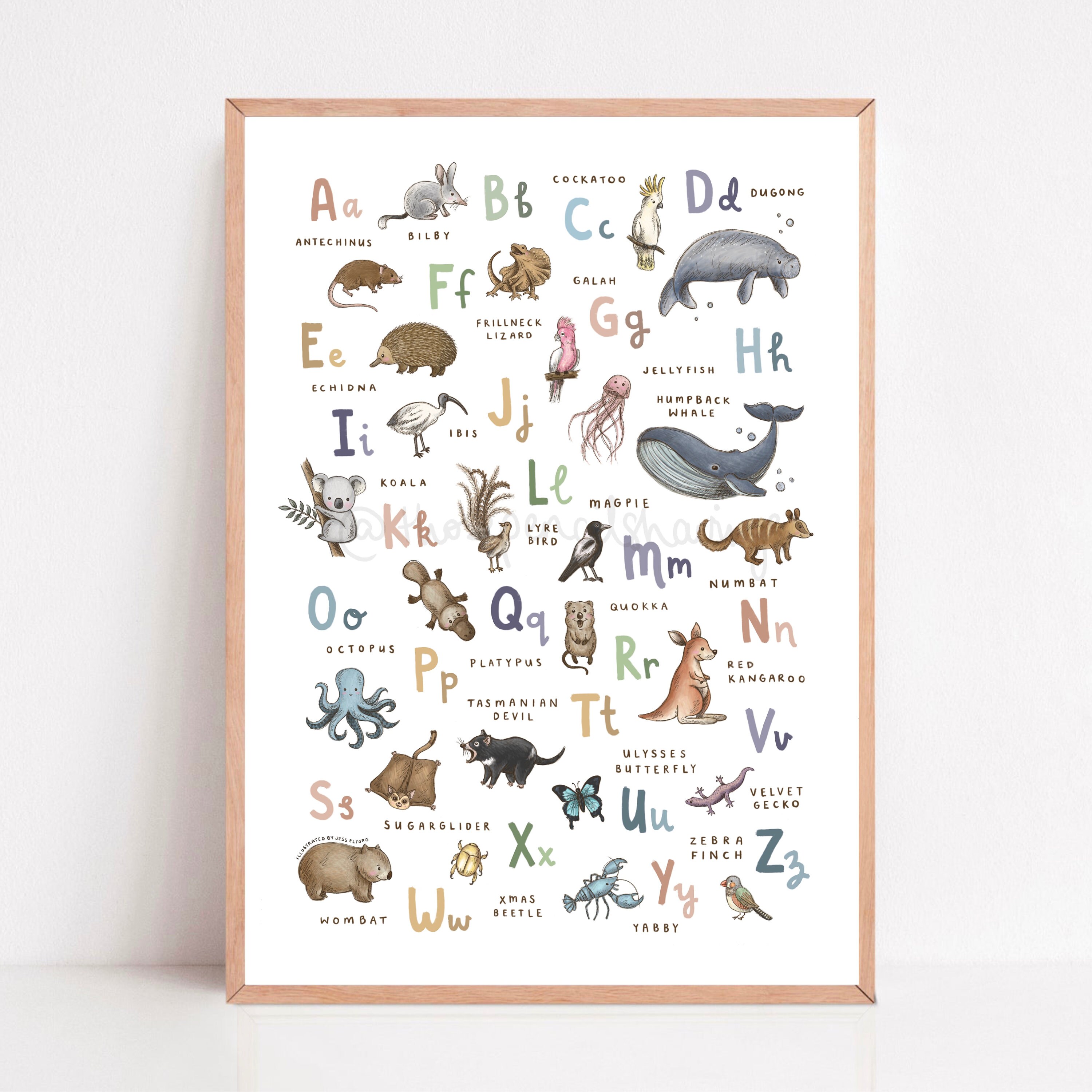 Australian Animals Alphabet Print Illustrated ABC Poster - Etsy Australia