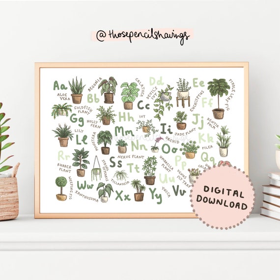 Houseplant Alphabet Print Flowerssucculentindoor Houseplanttree