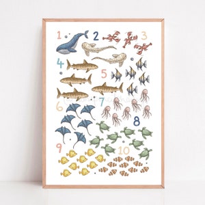 Ocean Alphabet and Numbers Print ABC 123 Poster Sea Life A-Z and ...