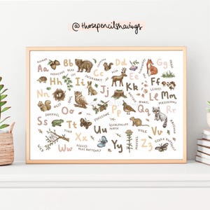 Woodland Animals Alphabet Print: Whimsical Nursery ABC Wall Art - Etsy