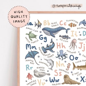 Ocean Animals Alphabet Print: Sea Life Nursery Decor (digital Download ...