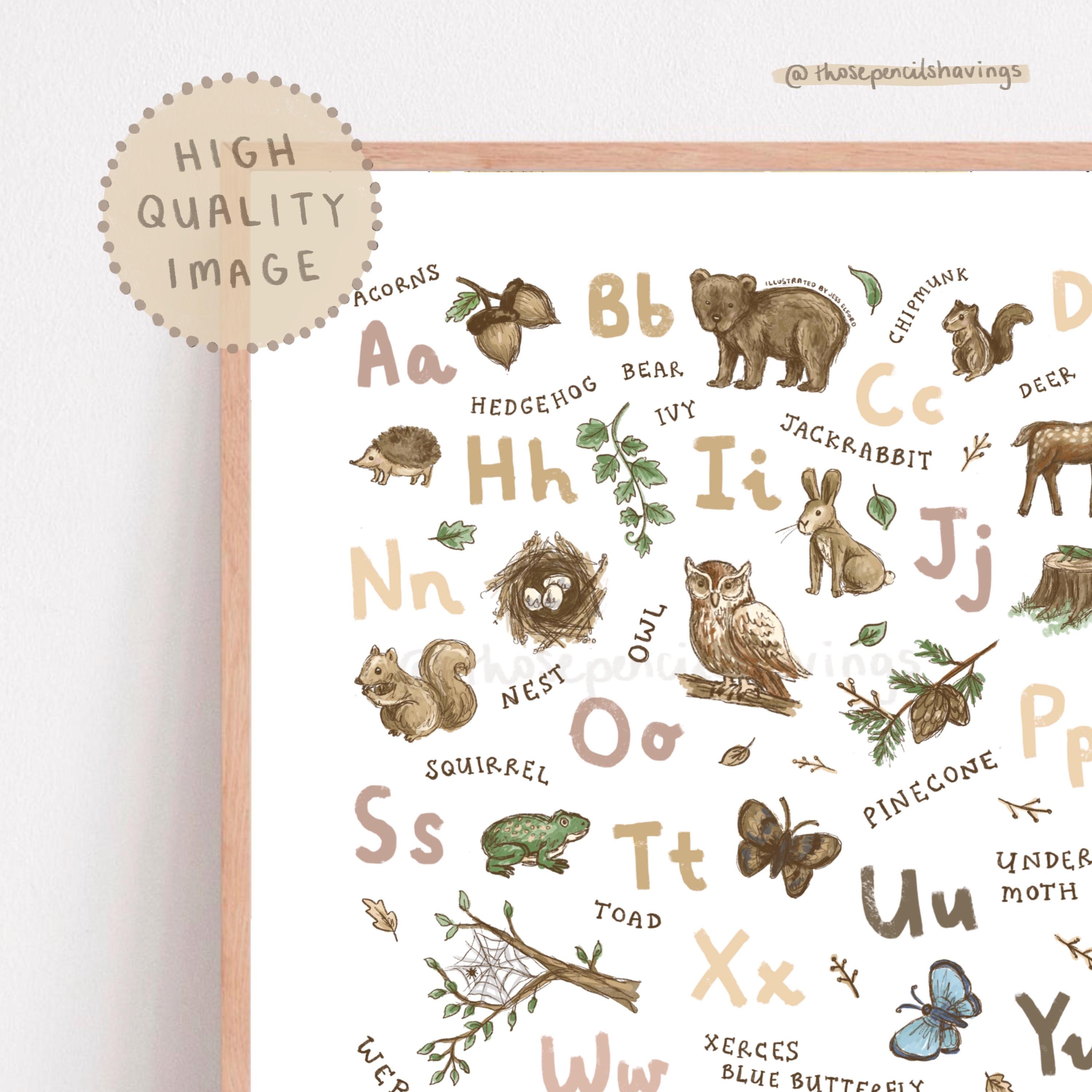 Woodland Animals Alphabet Print: Whimsical Nursery ABC Wall Art - Etsy