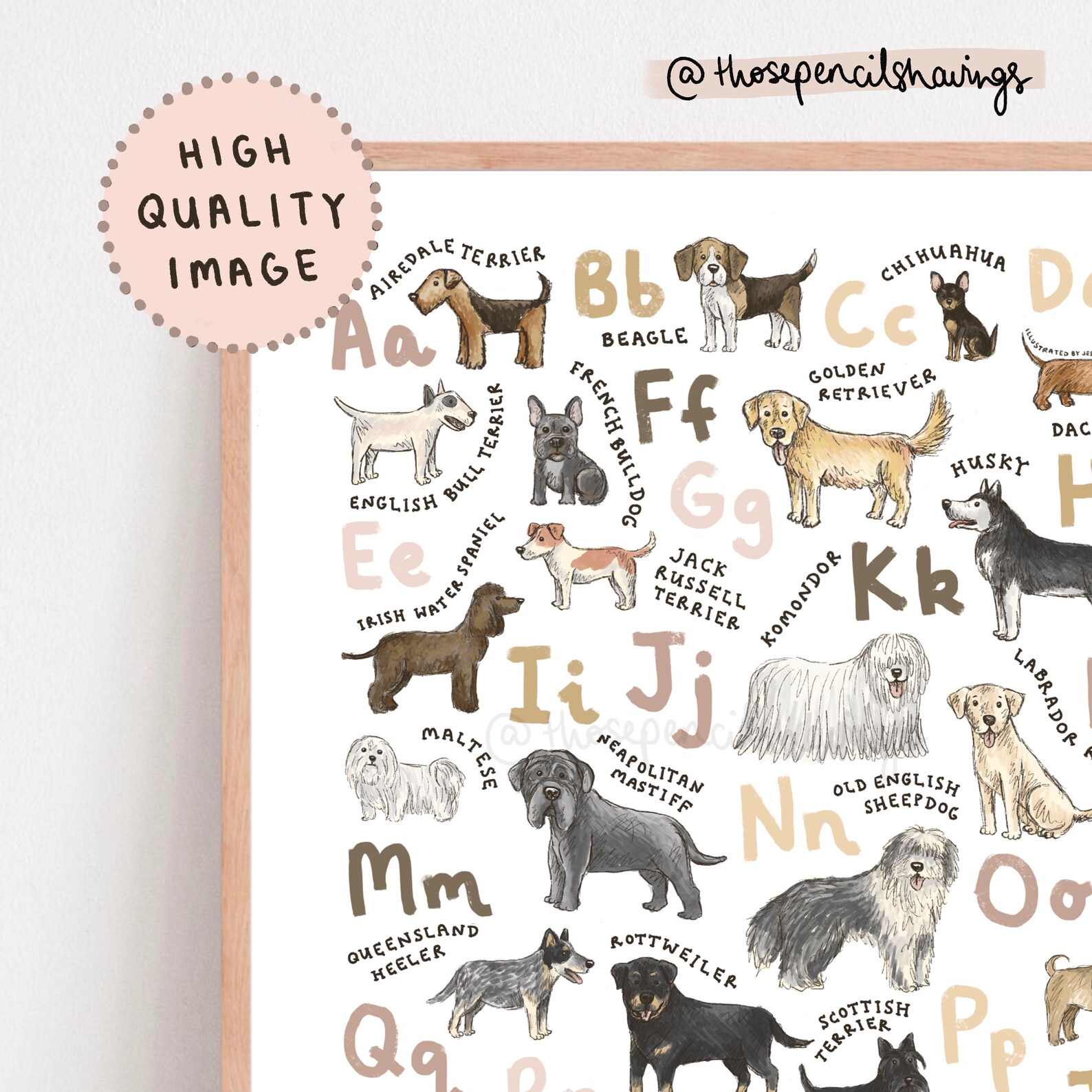 Dog Breeds Alphabet Print ABC Dog Alphabet Poster A-Z - Etsy