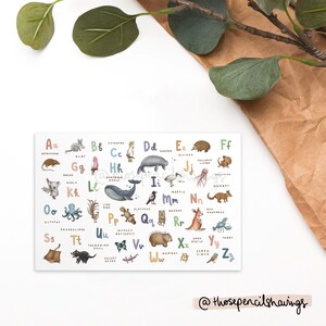 Australian Animals Alphabet Postcard | Aussie Wildlife Souvenir - Etsy