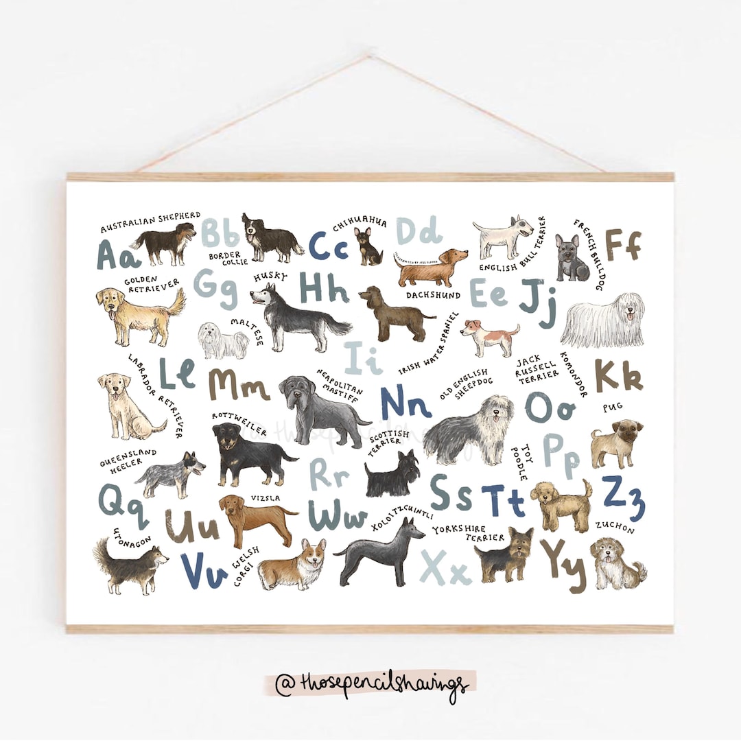 Dog Breeds Alphabet Print: Illustrated A-Z Puppy Poster - Etsy