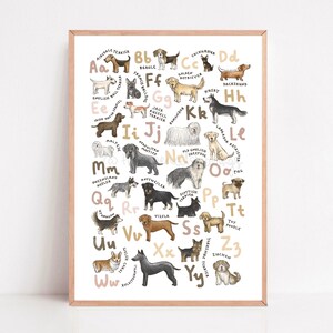 Dog Breeds Alphabet Print ABC Dog Alphabet Poster A-Z - Etsy