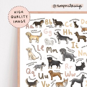 Dog Breeds Alphabet Print ABC Dog Alphabet Poster A-Z Types of Dogs Dog ...