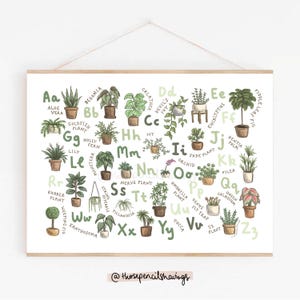 Houseplant Alphabet Print | A–Z of Indoor Plants | Illustrated ...