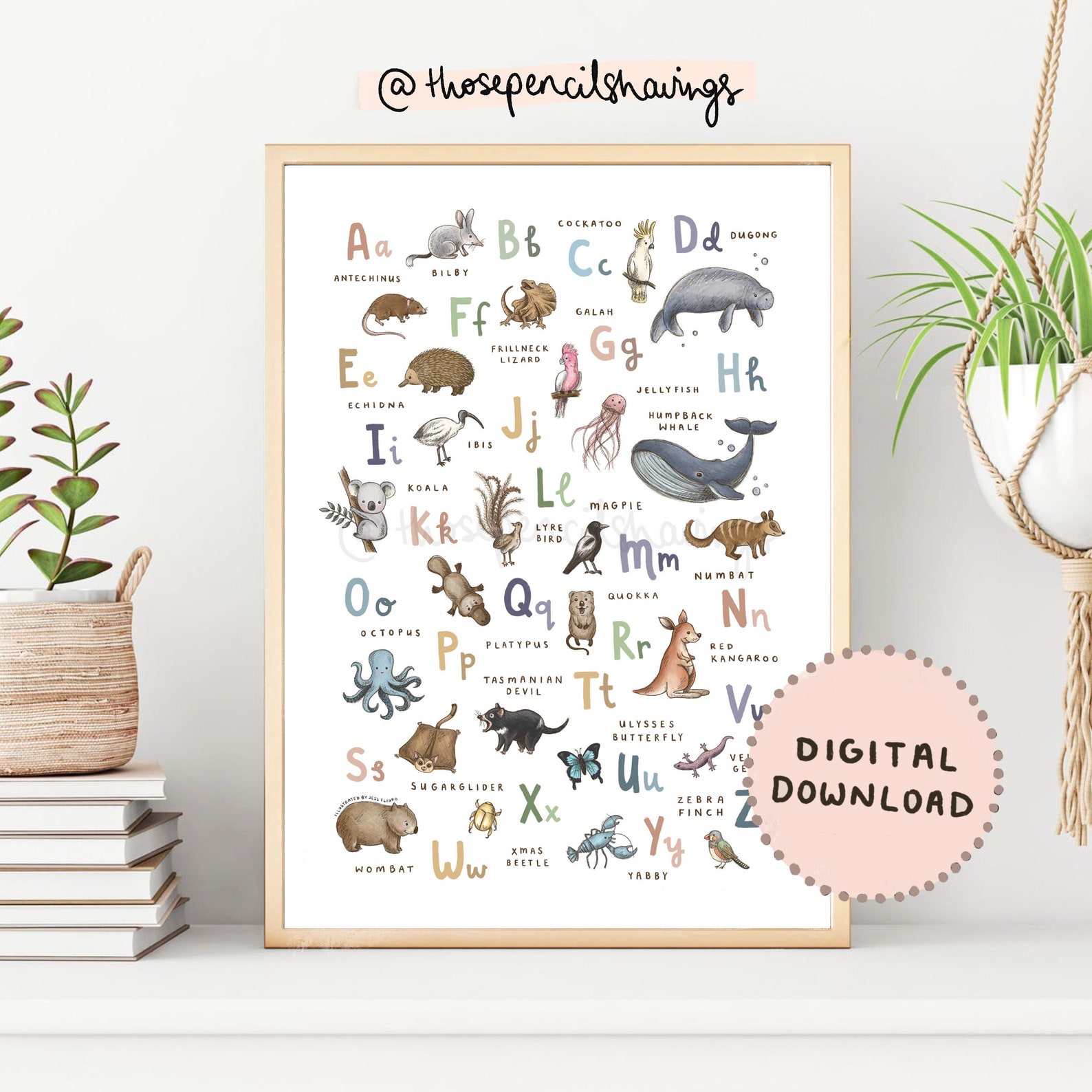 Australian Animals Alphabet Print Illustrated ABC Poster - Etsy Australia