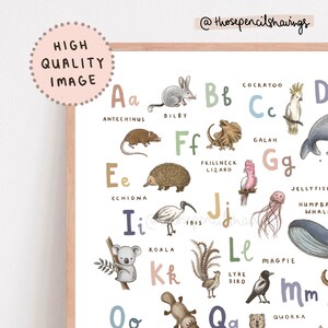 Australian Animals Alphabet Print | Illustrated ABC Poster | A-Z Animal ...
