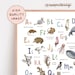 Australian Animals Alphabet Print Illustrated ABC Poster - Etsy Australia