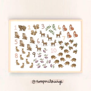 Woodland Animals Counting Poster: Educational Nursery Wall Art - Etsy