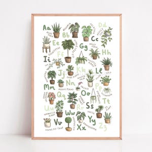 Houseplant Alphabet Print | A–Z of Indoor Plants | Illustrated ...
