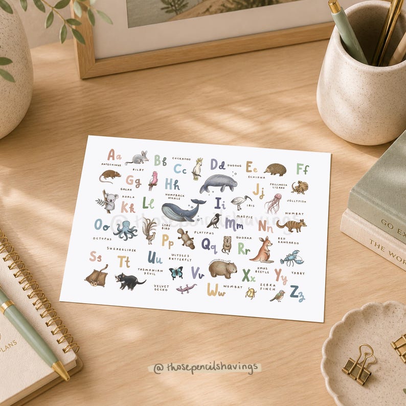 Australian Animals Alphabet Postcard | Aussie Wildlife Souvenir - Etsy
