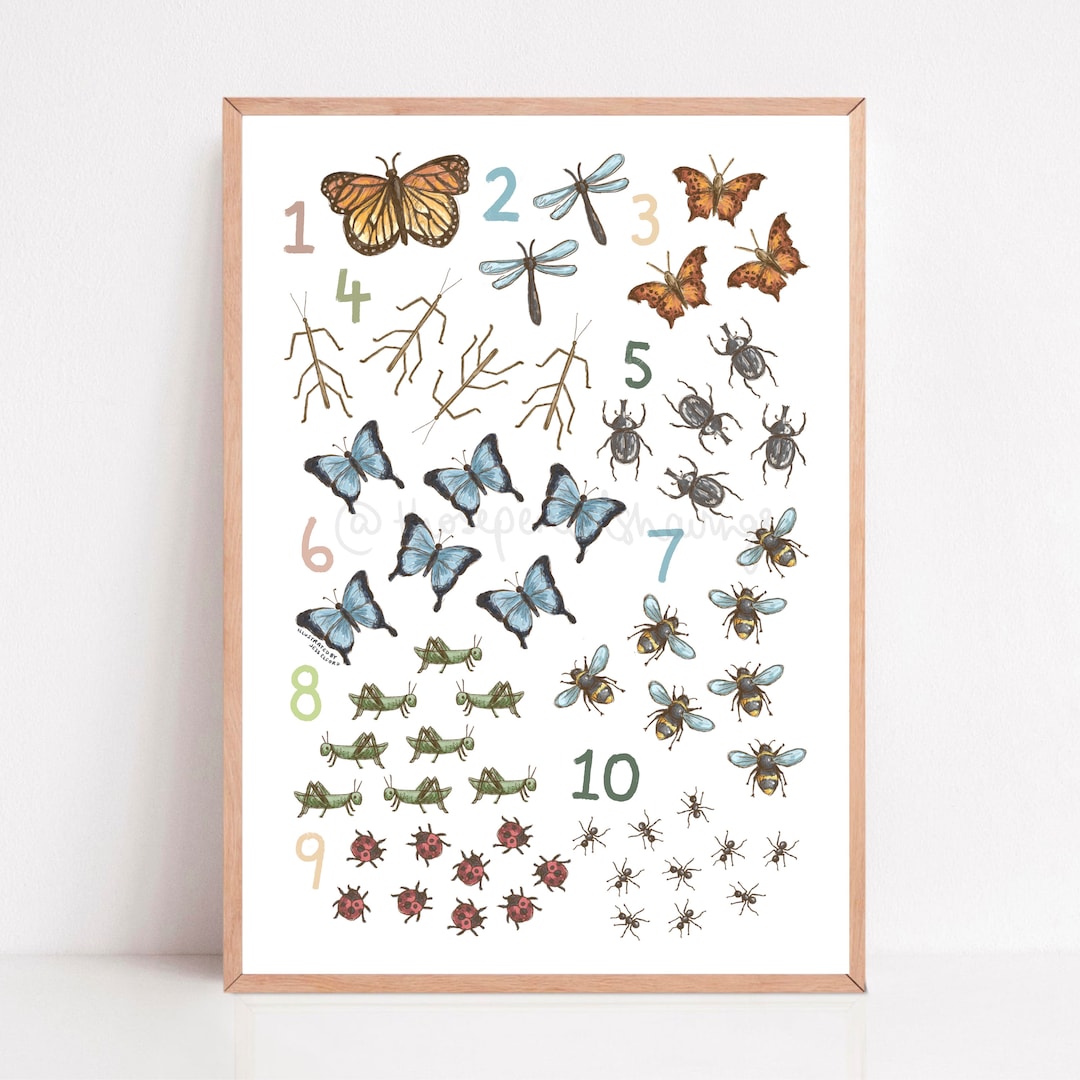 Insect Counting Print | 1 to 10 Bug-themed Numbers Poster for Kids ...