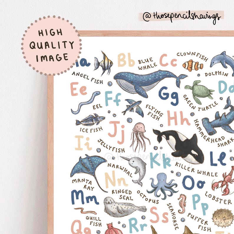 Ocean Animals Alphabet Print: A-Z Sea Life Nursery Decor - Etsy