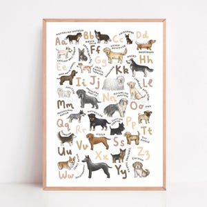 Dog Breeds Alphabet Print | ABC Dog Alphabet Poster | A-Z Types of Dogs ...