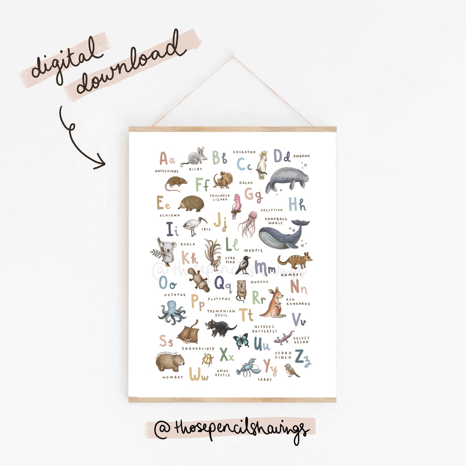 Australian Animals Alphabet Print Illustrated ABC Poster - Etsy Australia