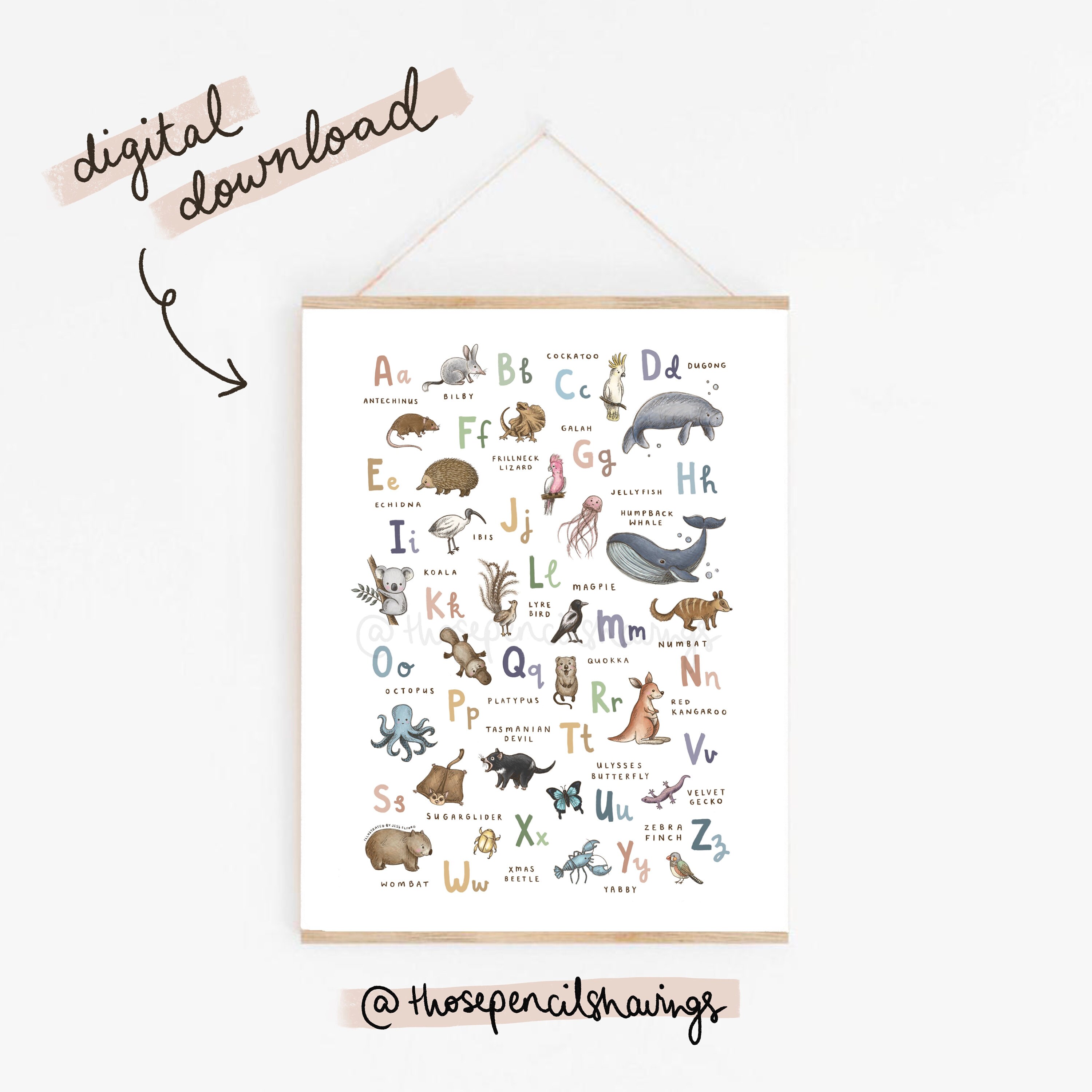 Australian Animals Alphabet Print Illustrated ABC Poster - Etsy Australia