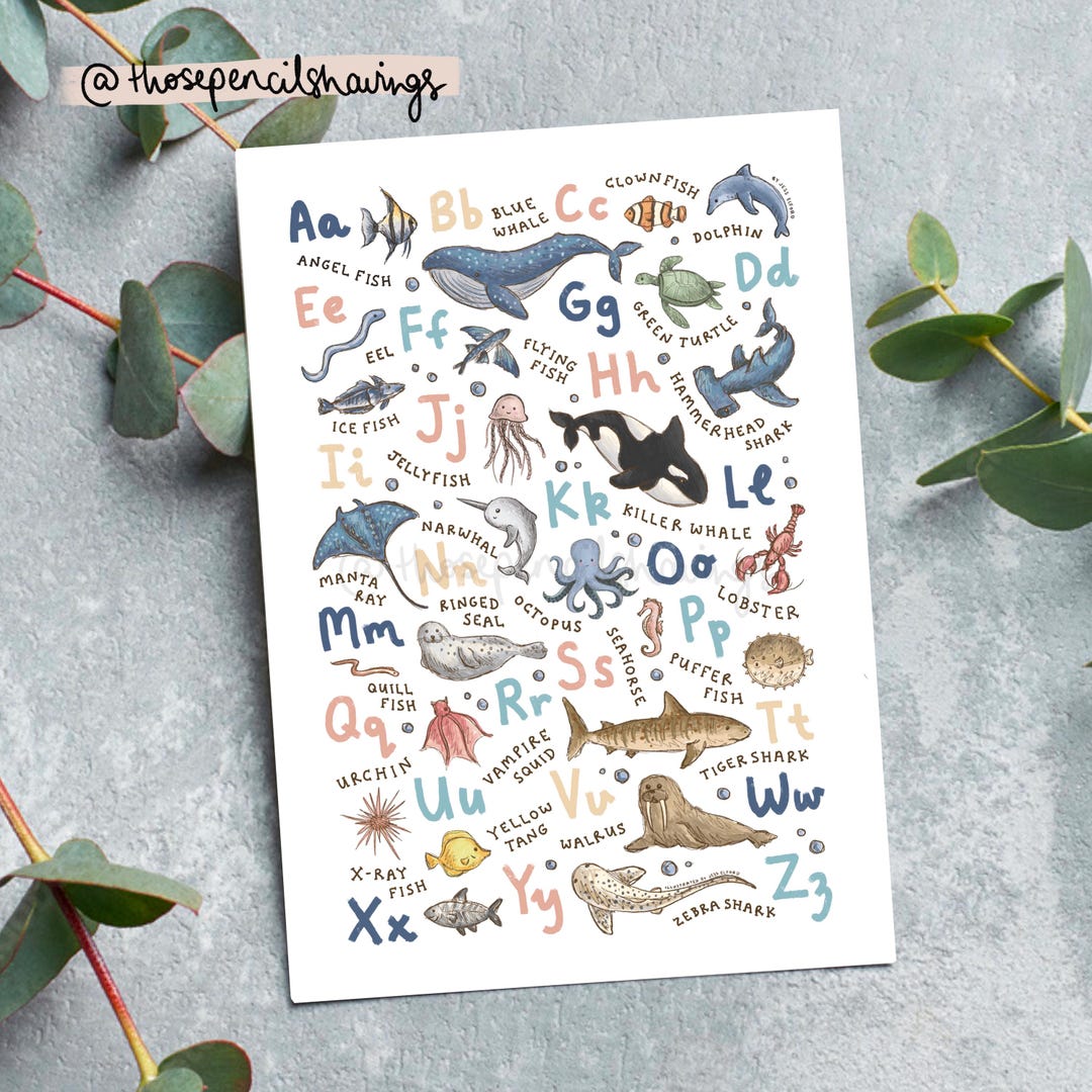 Ocean Animals Alphabet Postcard: A-Z Sea Life Nursery Mini Print - Etsy
