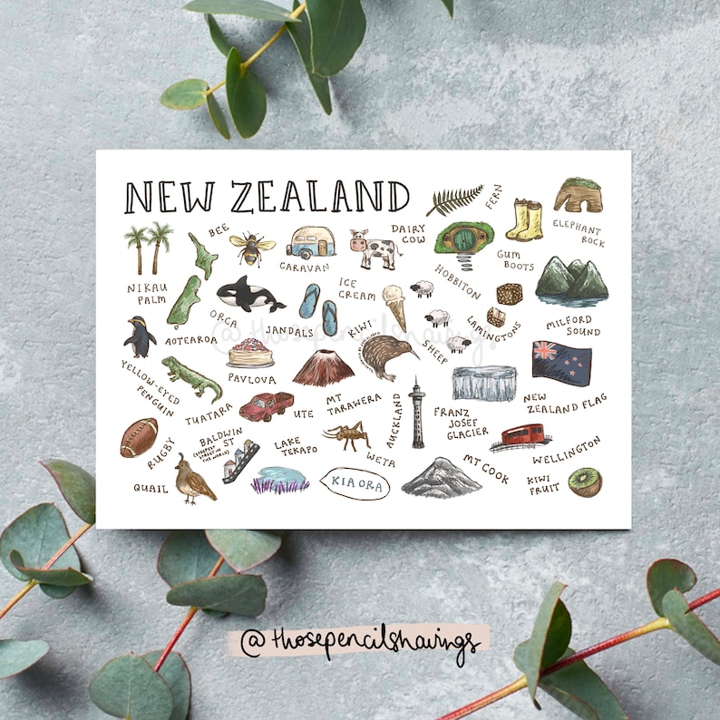 New Zealand Landmarks Postcard: Illustrated Travel Souvenir - Etsy