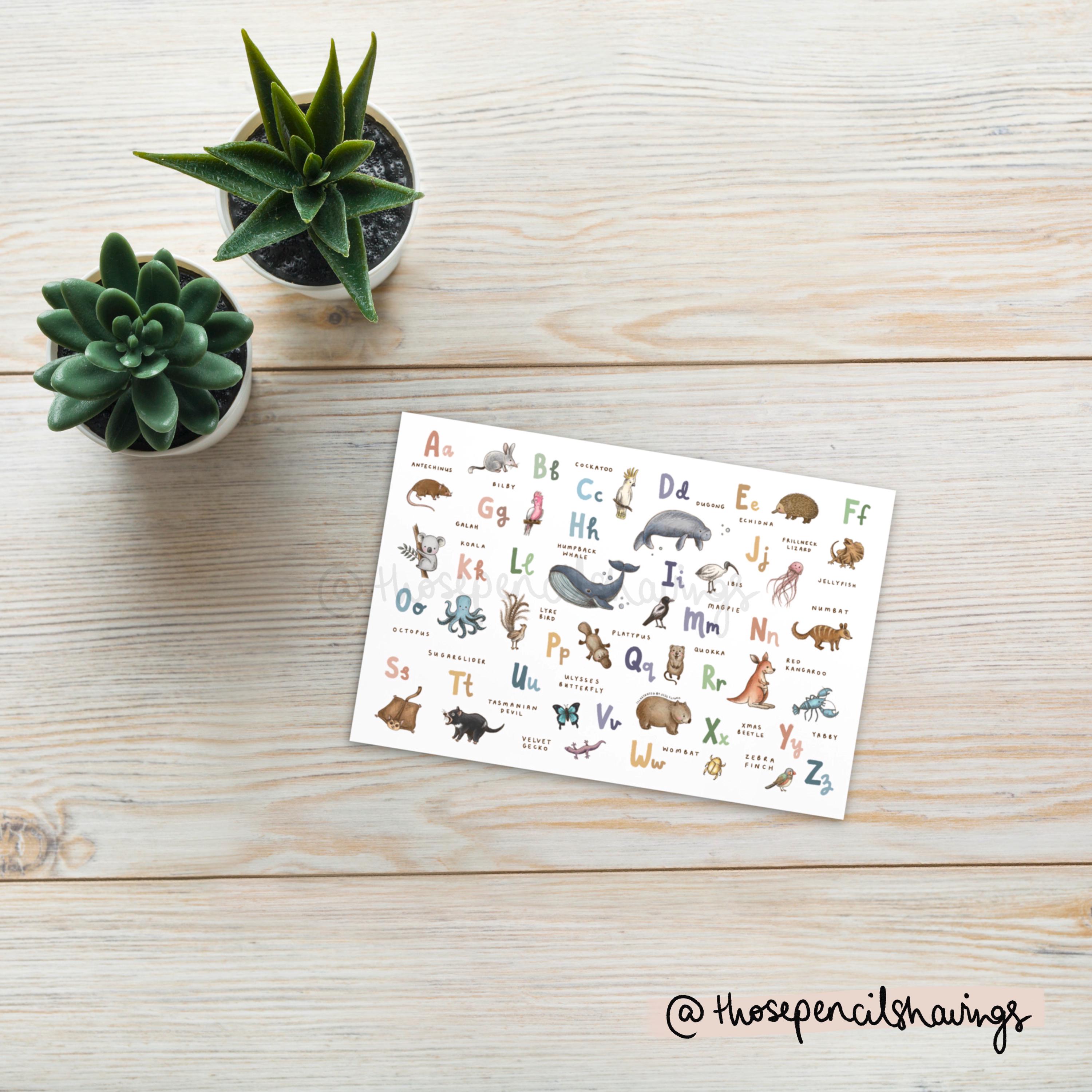 Australian Animals Alphabet Postcard | Aussie Wildlife Souvenir - Etsy
