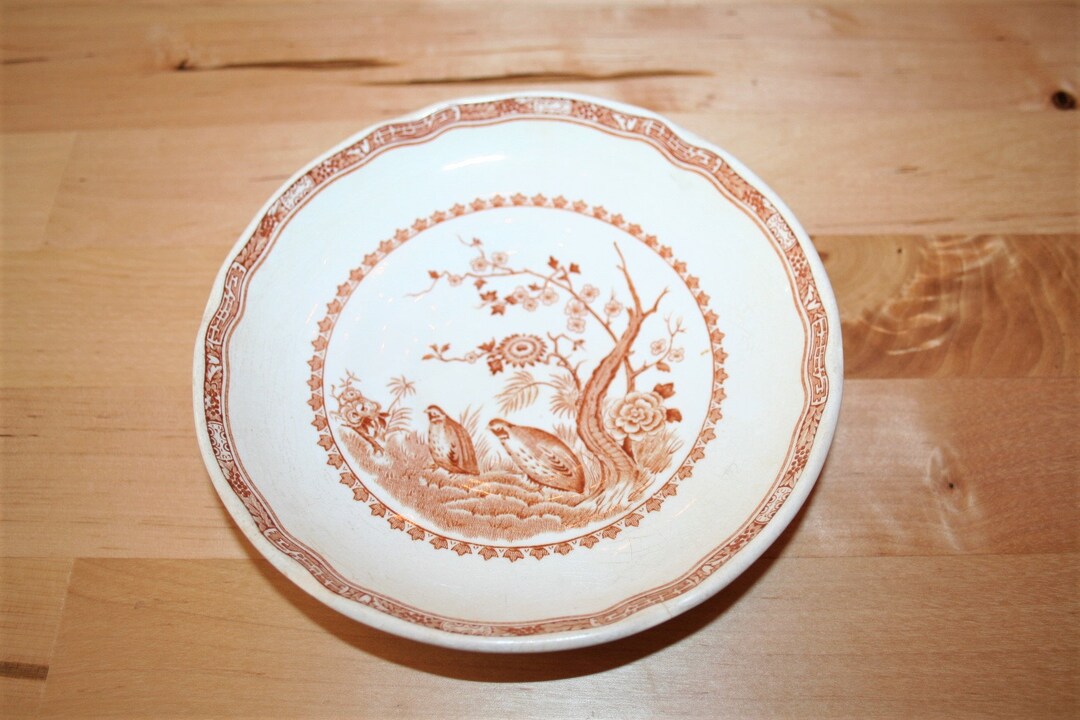 FURNIVALS QUAIL SAUCER Brown - Etsy