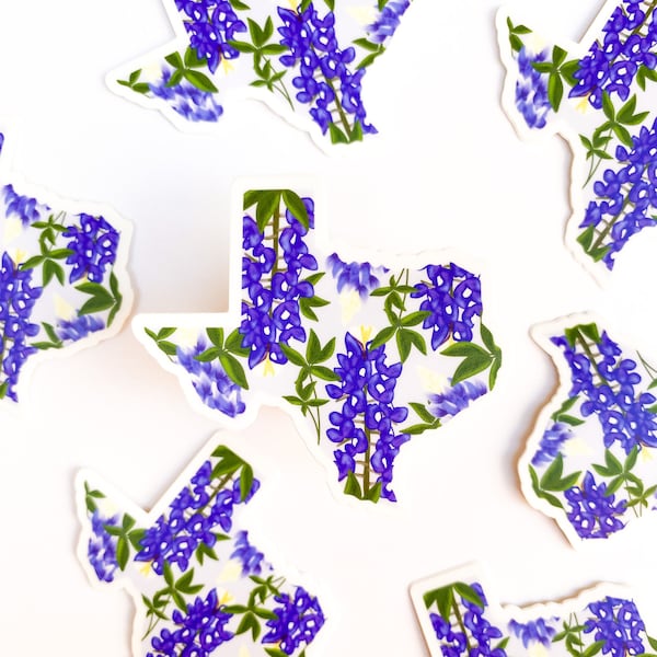 Texas Bluebonnet Stickers - Etsy
