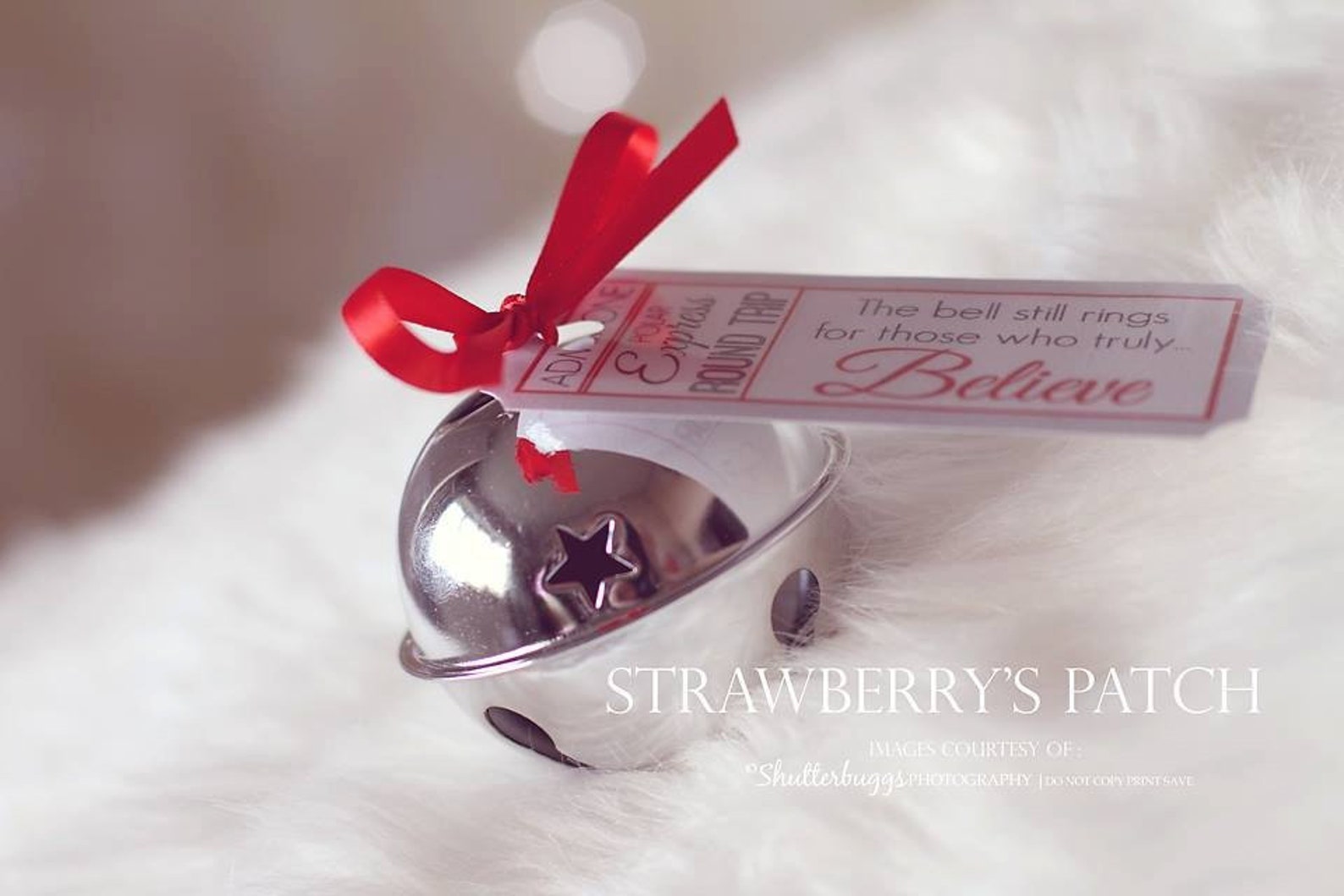 Polar Express believe Bell - Etsy