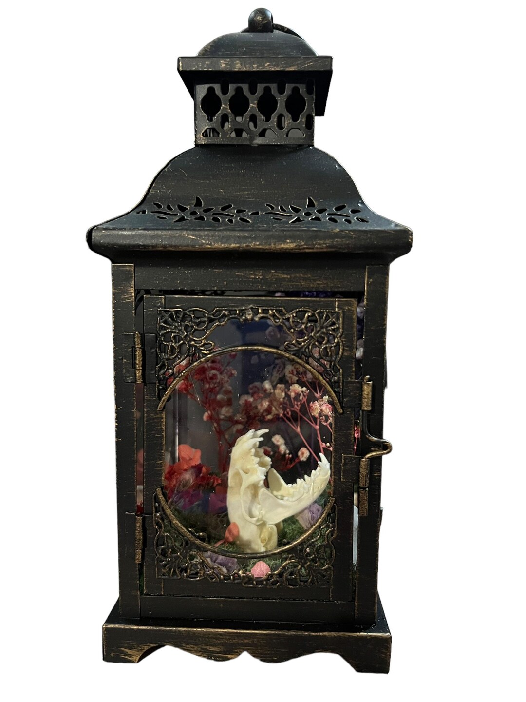 Lantern Skull Terrarium / Center Piece/ Mini World / Cottagecore ...