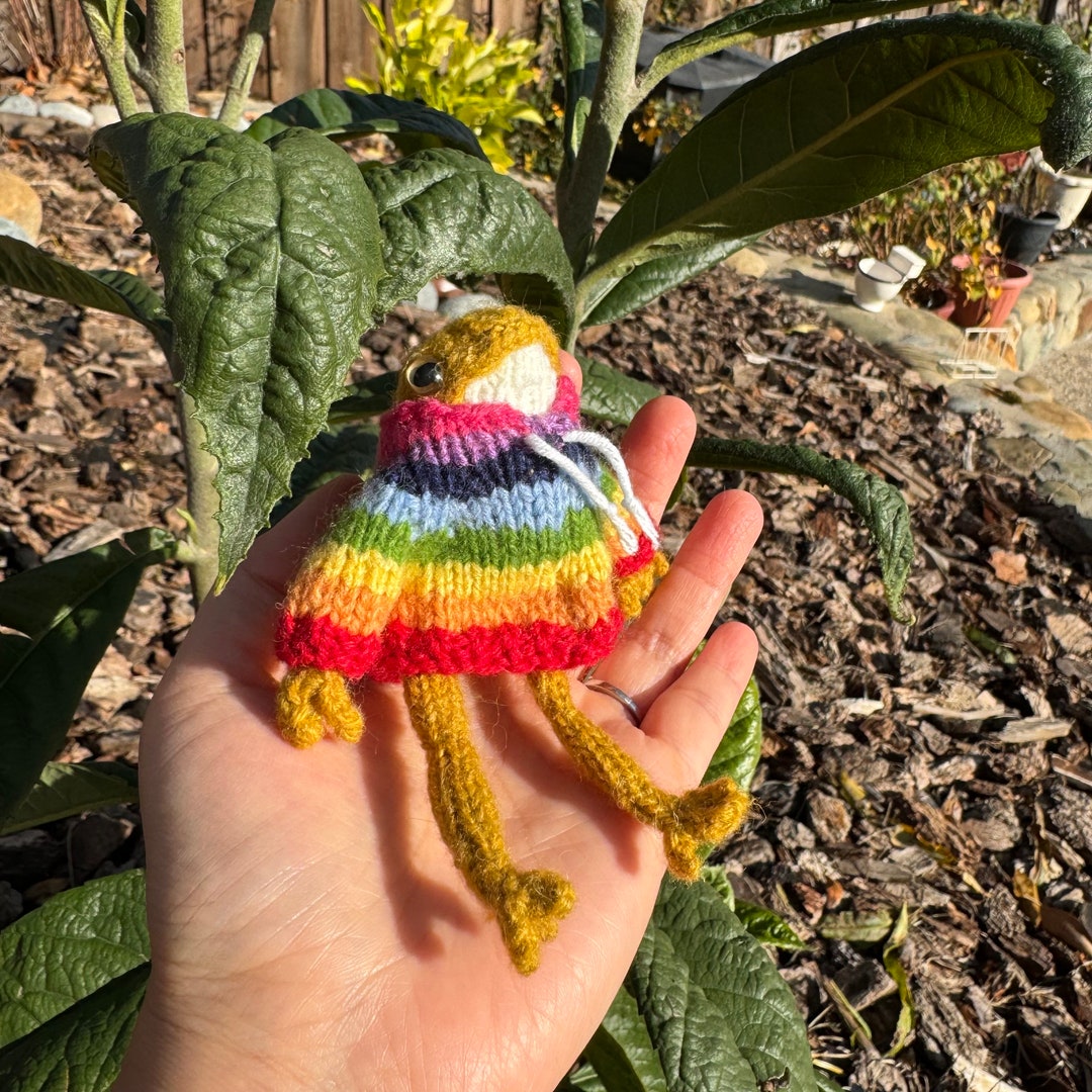 Knitted Little Pocket Frog in Rainbow Pride Sweater/companion Pet ...