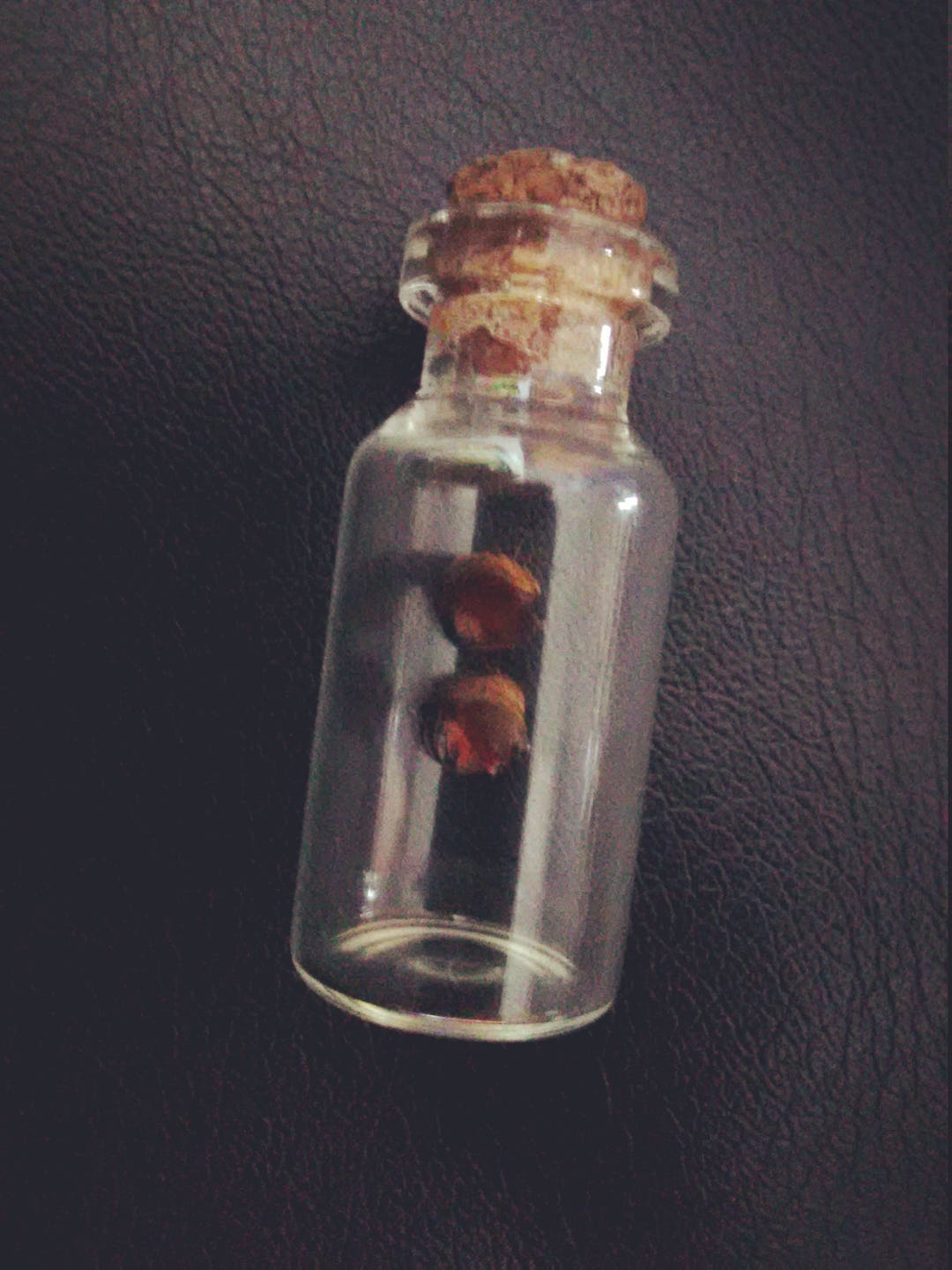 Small Tarantula Fangs - Etsy