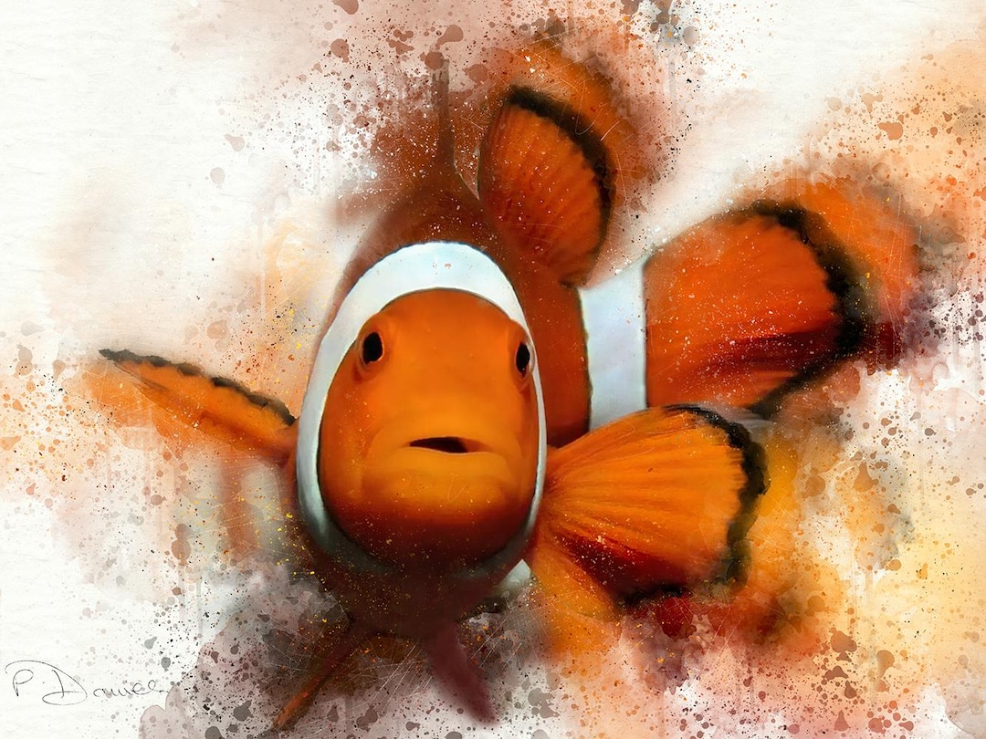 Clown Fish Print – Limited Edition Art – From Original Phil Daniels ...