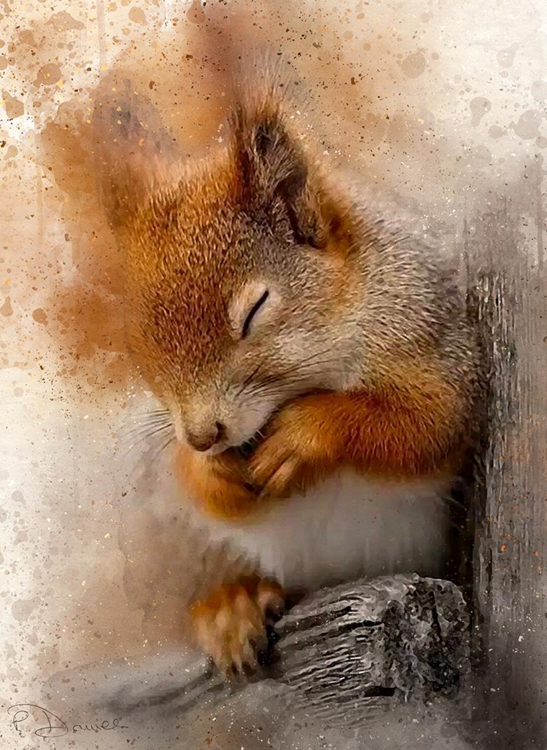 Red Squirrel Print – Limited Edition Art – From Original Phil Daniels ...