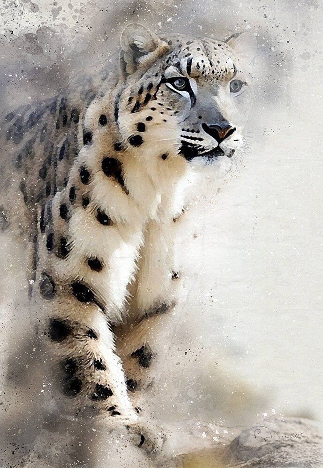 Snow Leopard Print – Limited Edition Art – From Original Phil Daniels ...