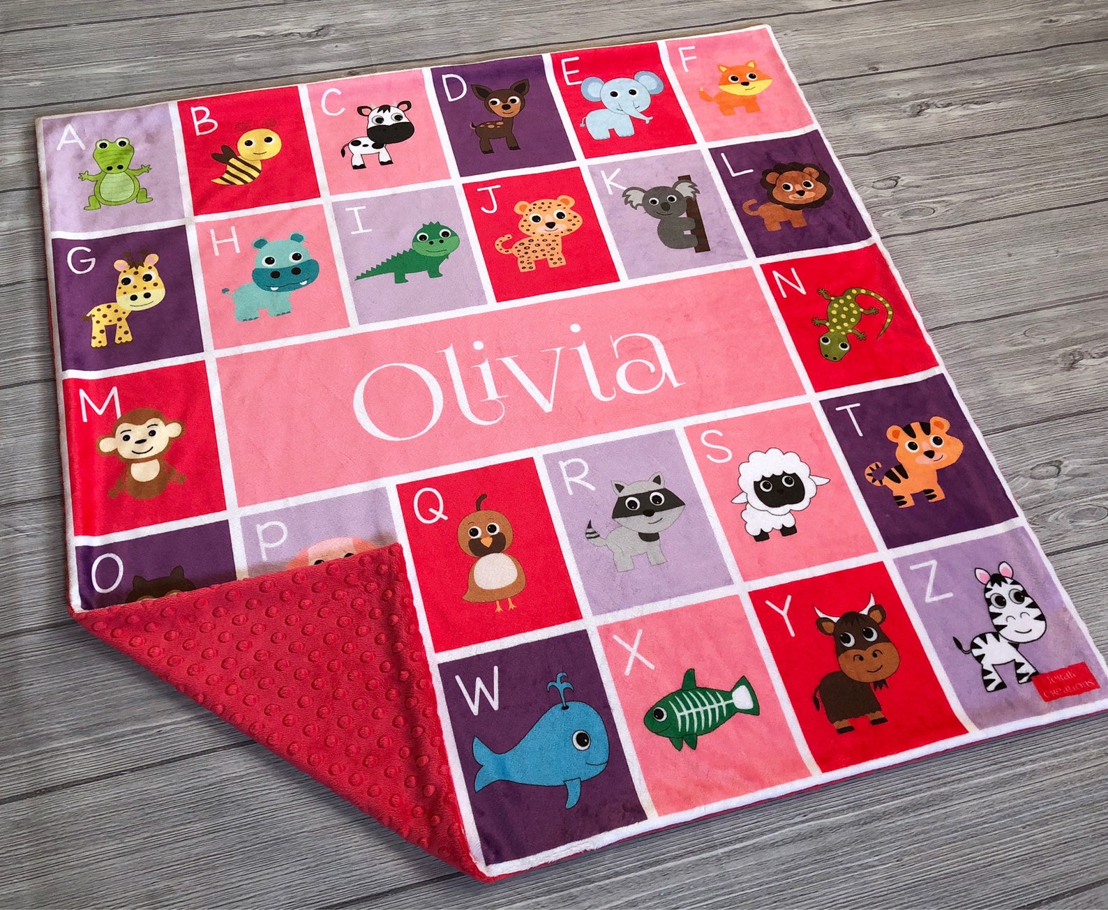 Personalized ABC Blanket ABC Baby Blanket Minky Blanket - Etsy Canada