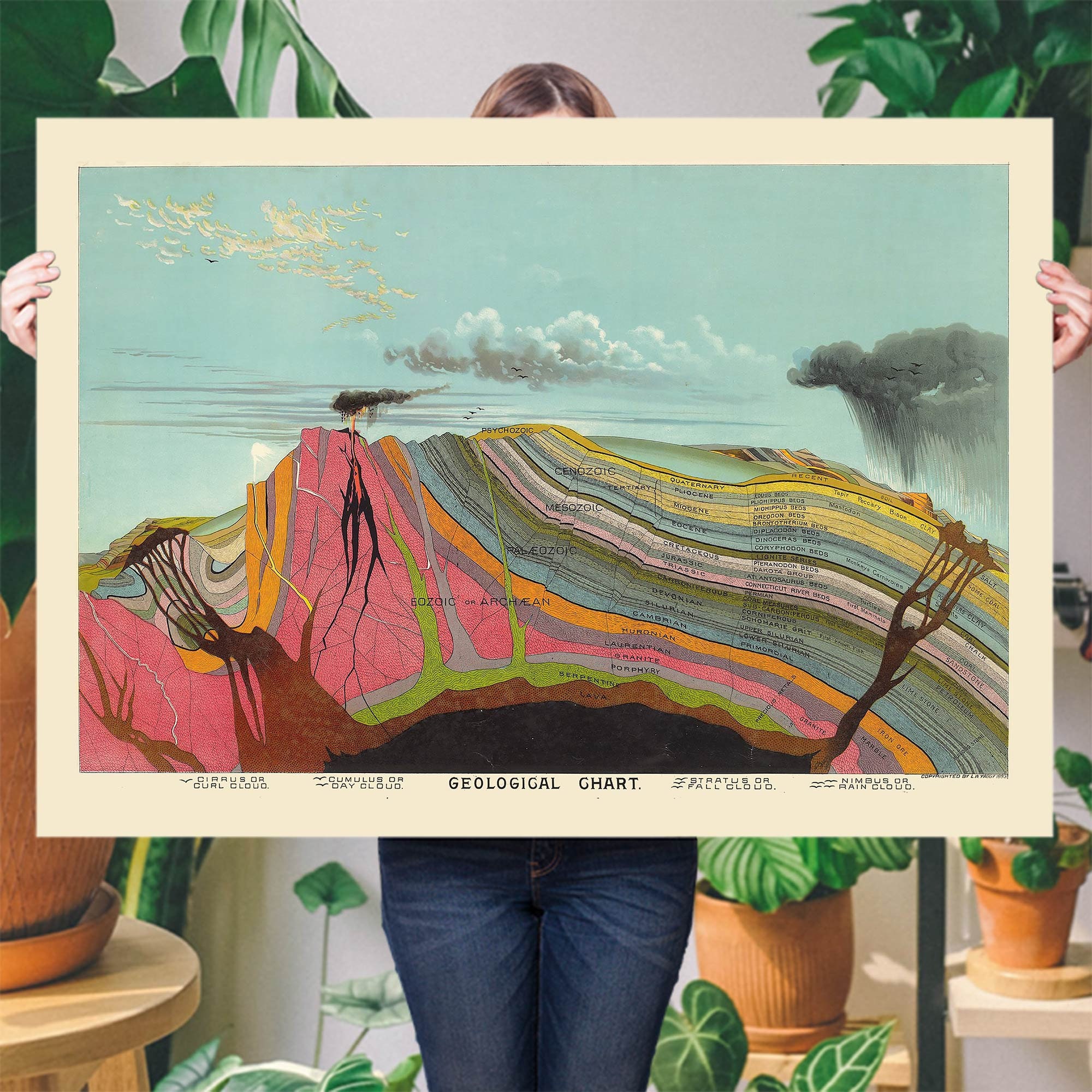 Vintage Geological Map Print Antique Map Science Poster - Etsy UK