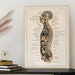 Vintage Human Body Print, Medical Wall Art, Surgical Art, Anatomy Wall ...