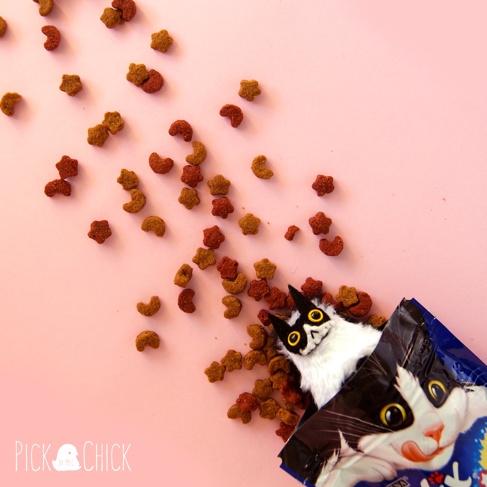 Fat Cat Mini Plush Doll - Etsy Australia