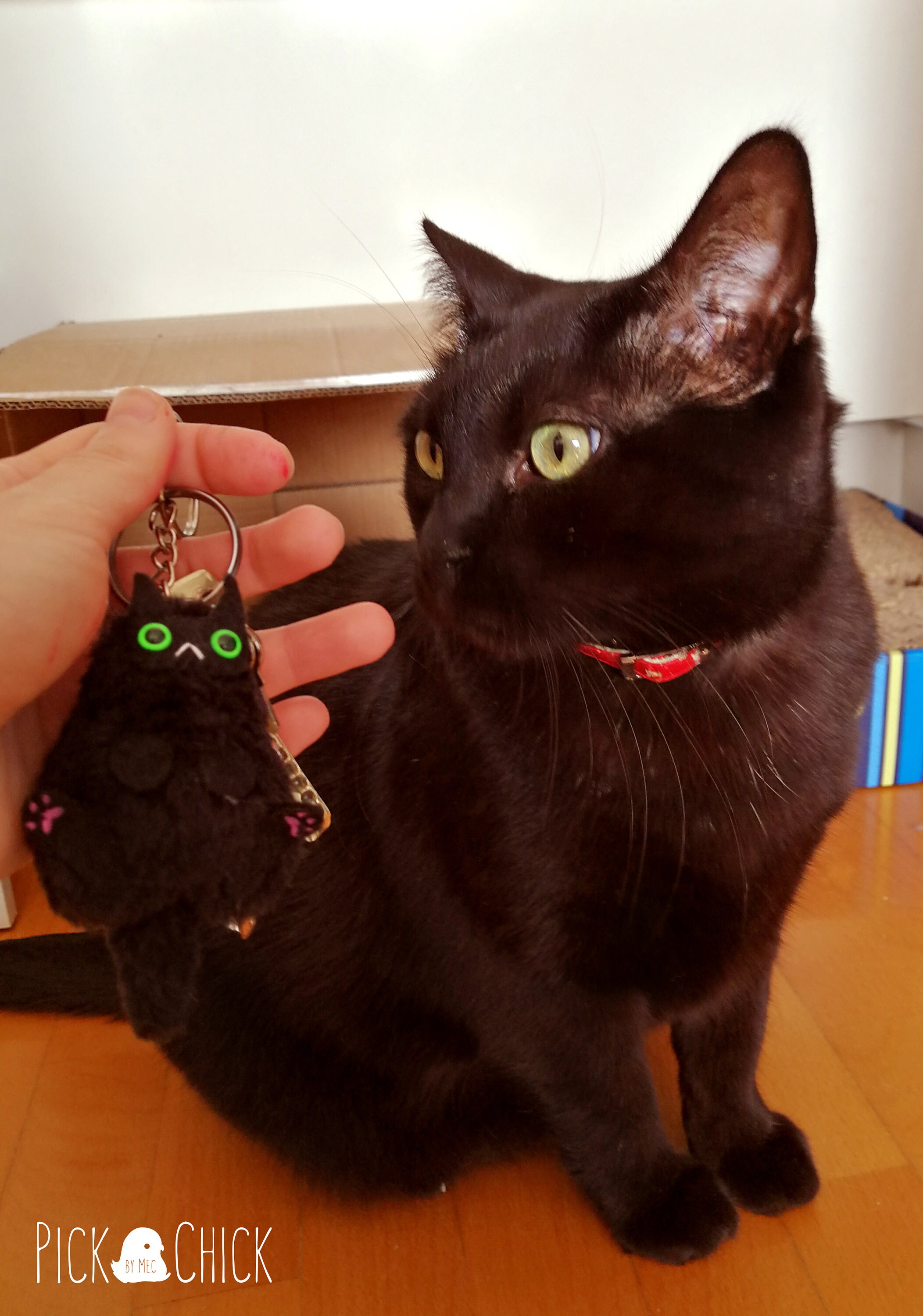 Fat Cat Mini Plush Doll - Etsy Australia