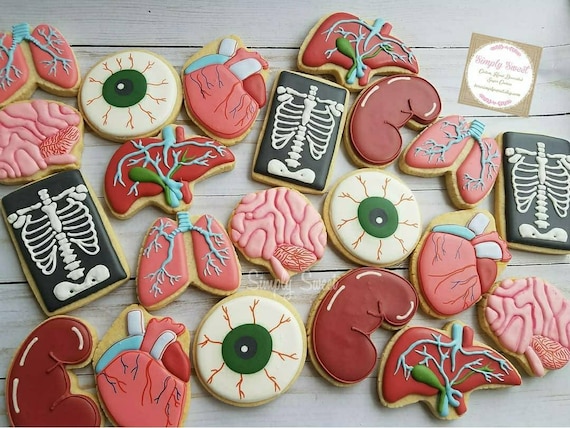 Organ/body Part Cookies 36 Cookies - Etsy