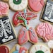 Organ/body Sugar Cookies (60 Cookies) - Etsy