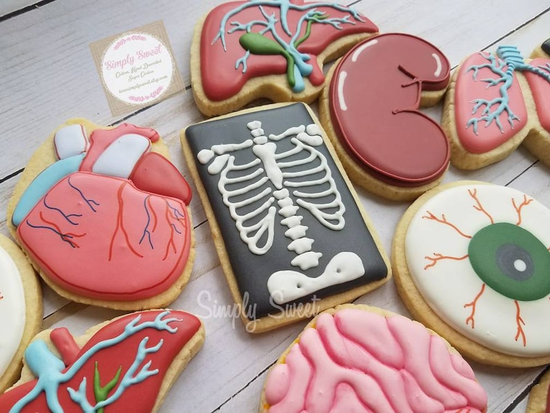 Organ/body Sugar Cookies 60 Cookies | Etsy